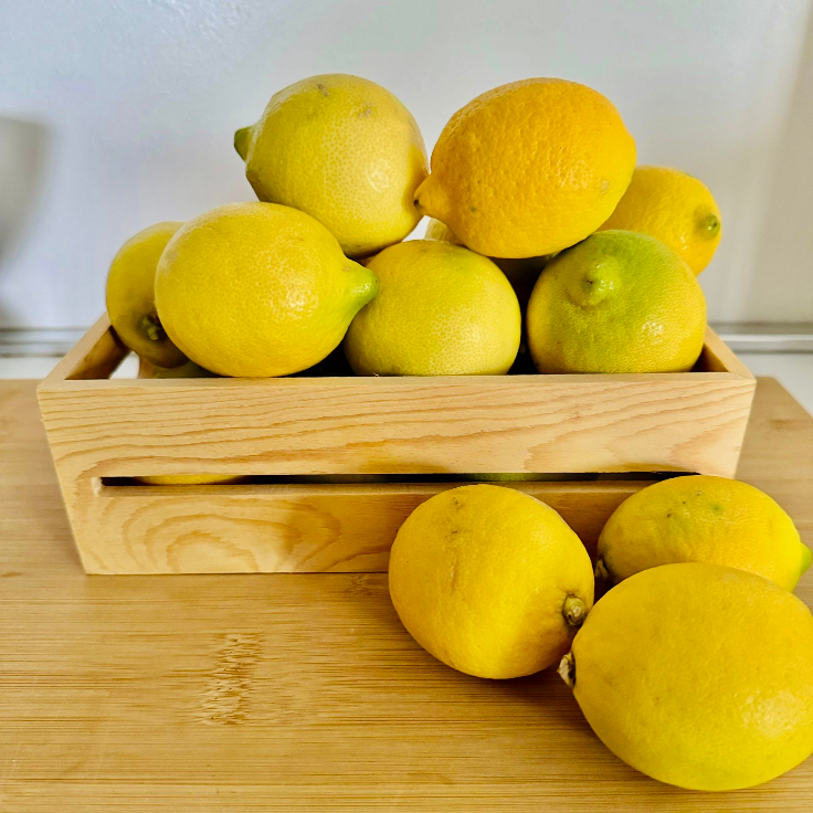 Limoni Siciliani – Terre di Zagara